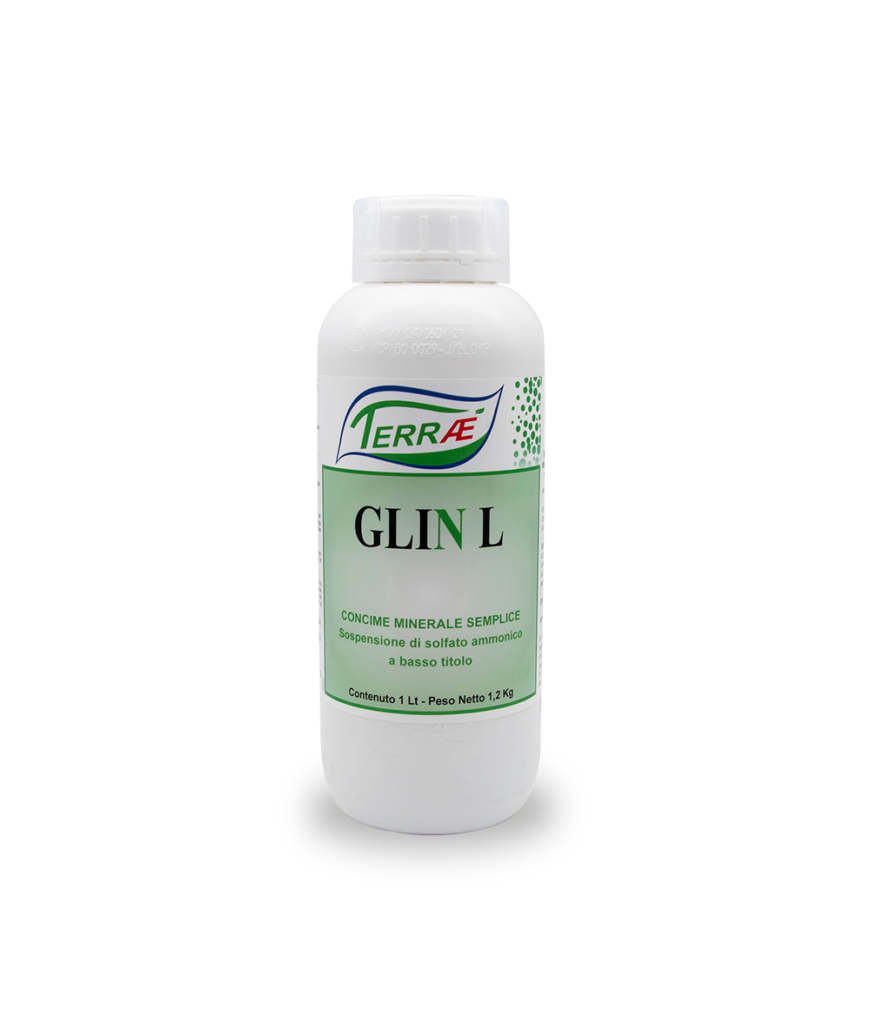 Glin L | Verdecerchio.com